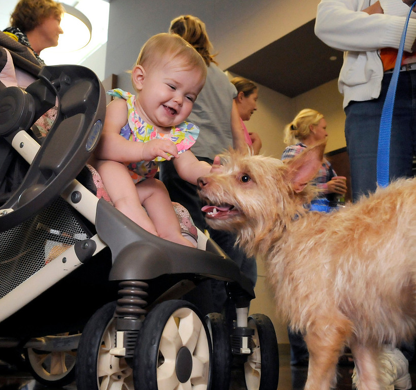 Community Conversation: Why dogs are more important than ever before ...